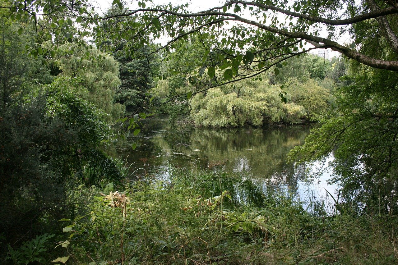 Exploring The City: Discover The Best Gardens In London With Stasher