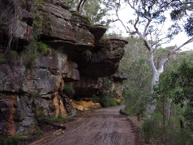 18 Best Walks in Sydney to Enjoy the City in 2024
